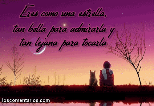 Imágenes Con Frase Te Quiero Con Parejas Enamoradas Frases Amor Imagenes Y Frases De Amor 14